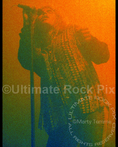 Art Prints of Singer Daniel MacMaster of Bonham in Concert in 1992 ...